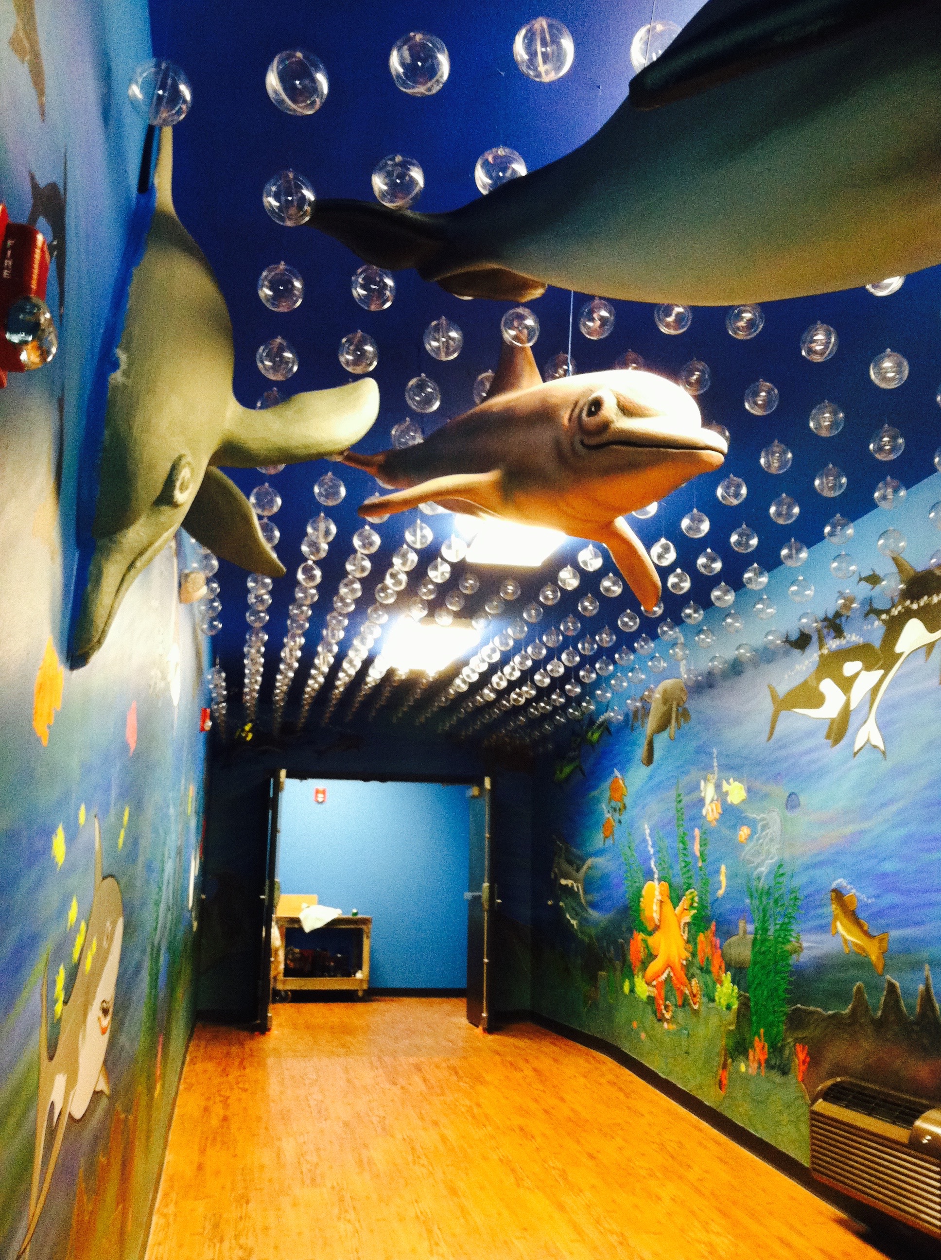 First Baptist Church – Bossier, LA – ARTISTIC SHARK